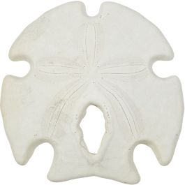 Mexican Arrowhead Sand Dollar 3-4"