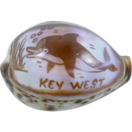 Carved Cowrie "KEY WEST"
