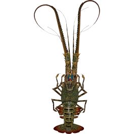 Lobster-Bamboo Painted Medium 18"