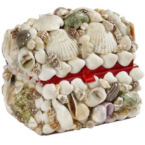 Pirate Shell Box 3.5x3"